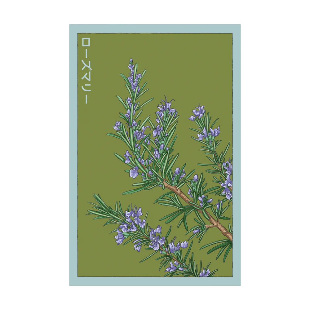 Rosemary Herb Seeds Packet – SHOP ARTS BMA